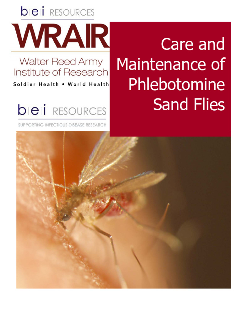 Sand Fly Care and Rearing Protocols | PDF | Fly