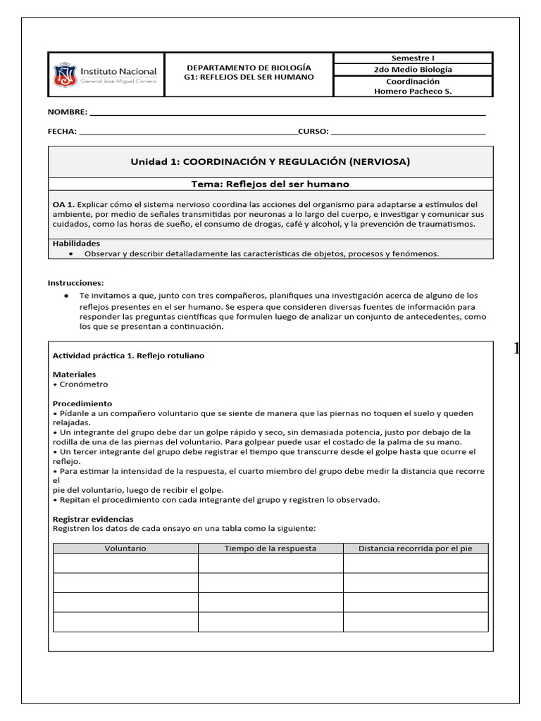 Reflejos Humanos: Actividades Prácticas | PDF