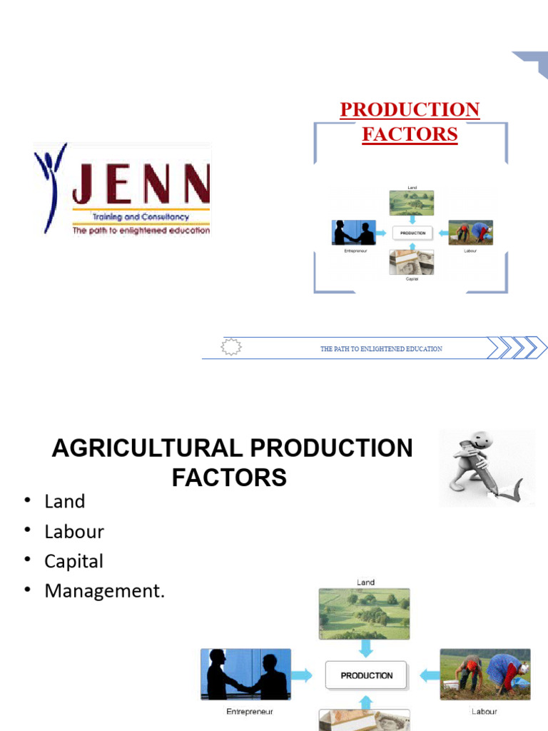Production Factors Presentation | PDF | Expense | Employment