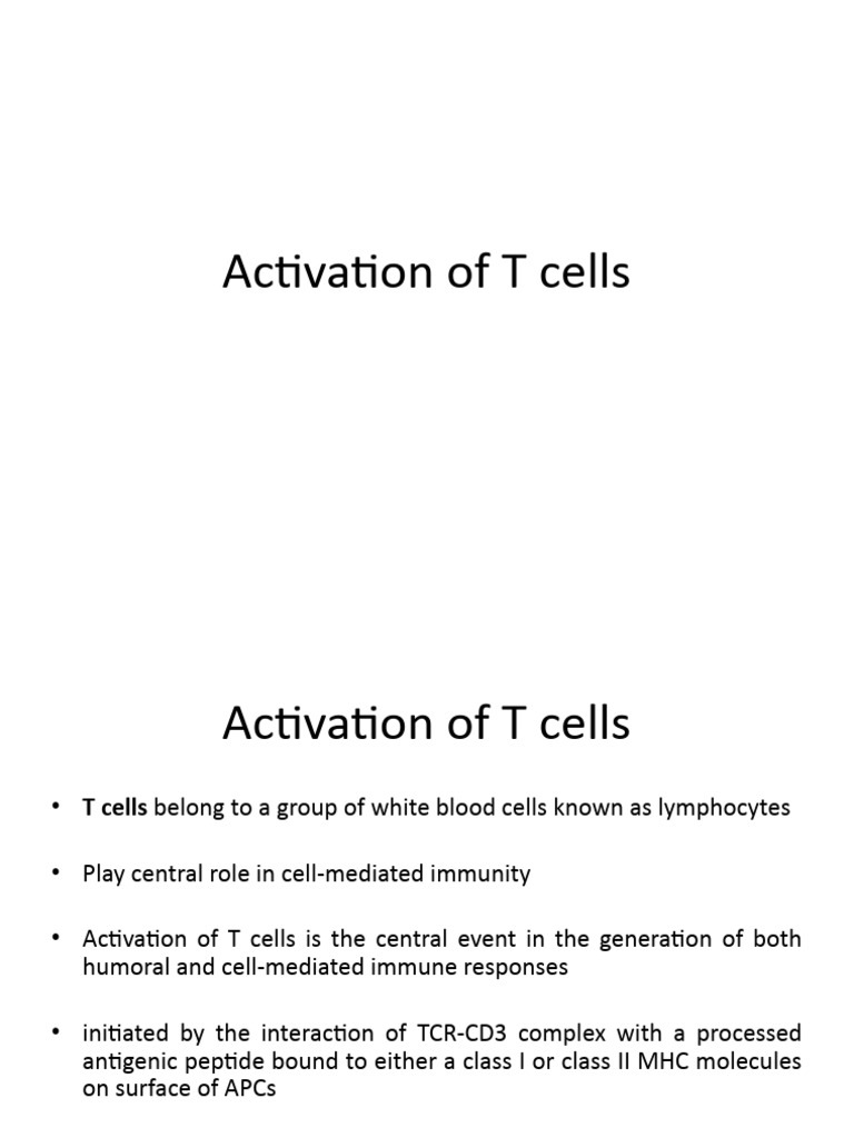 Activation of T Cells | PDF | T Cell | Cell Signaling