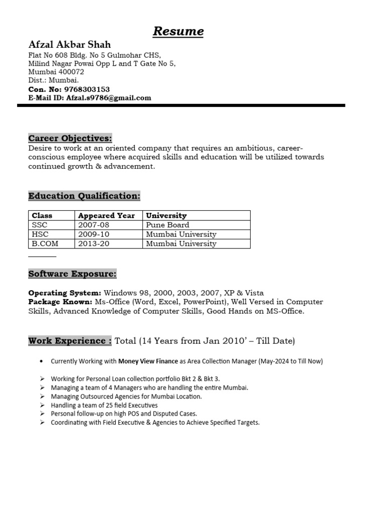 Afzal Shah Curriculum Vitae | PDF | Point Of Sale | Computing