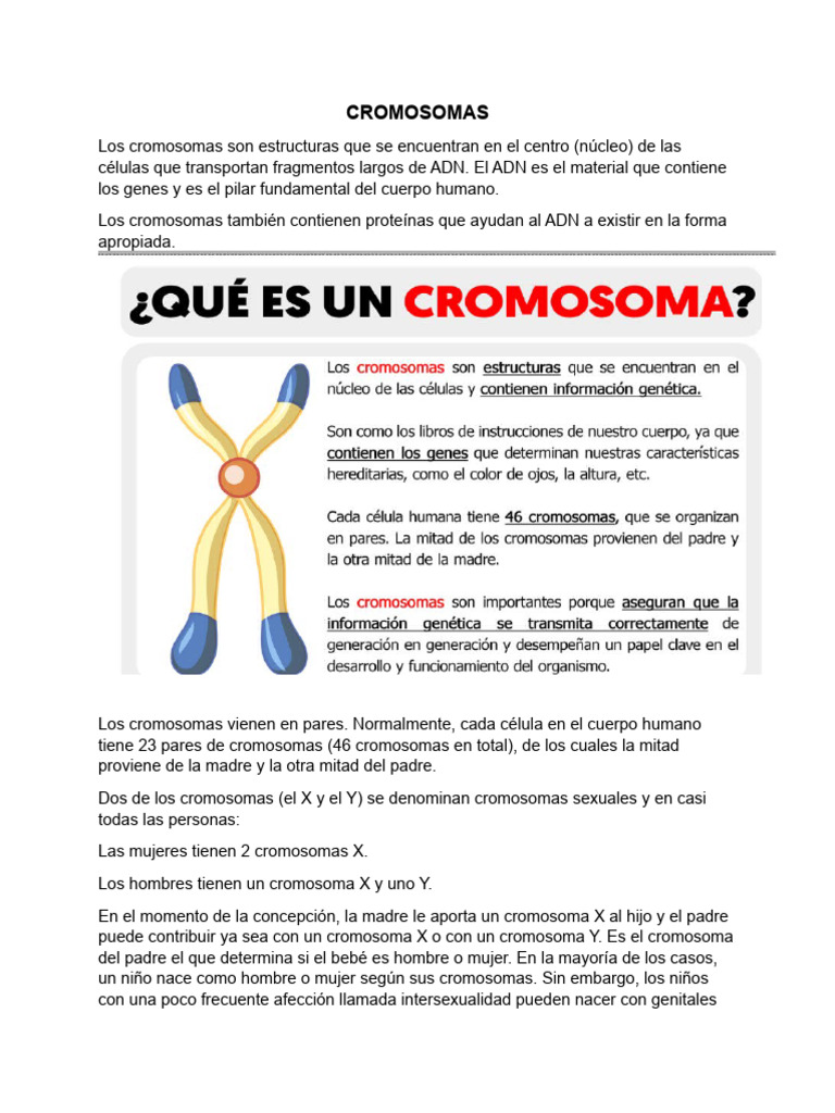 CROMOSOMAS | PDF | Rna | Adn