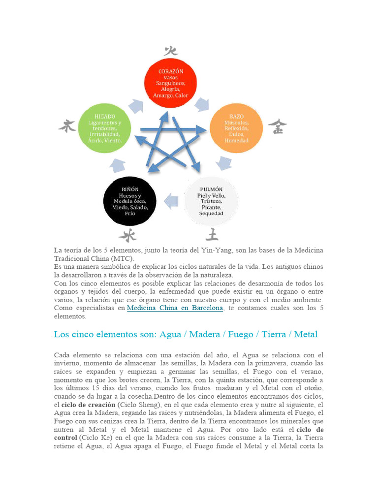 La Teoría de Los 5 Elementos | PDF | Sistema digestivo humano | Incendios