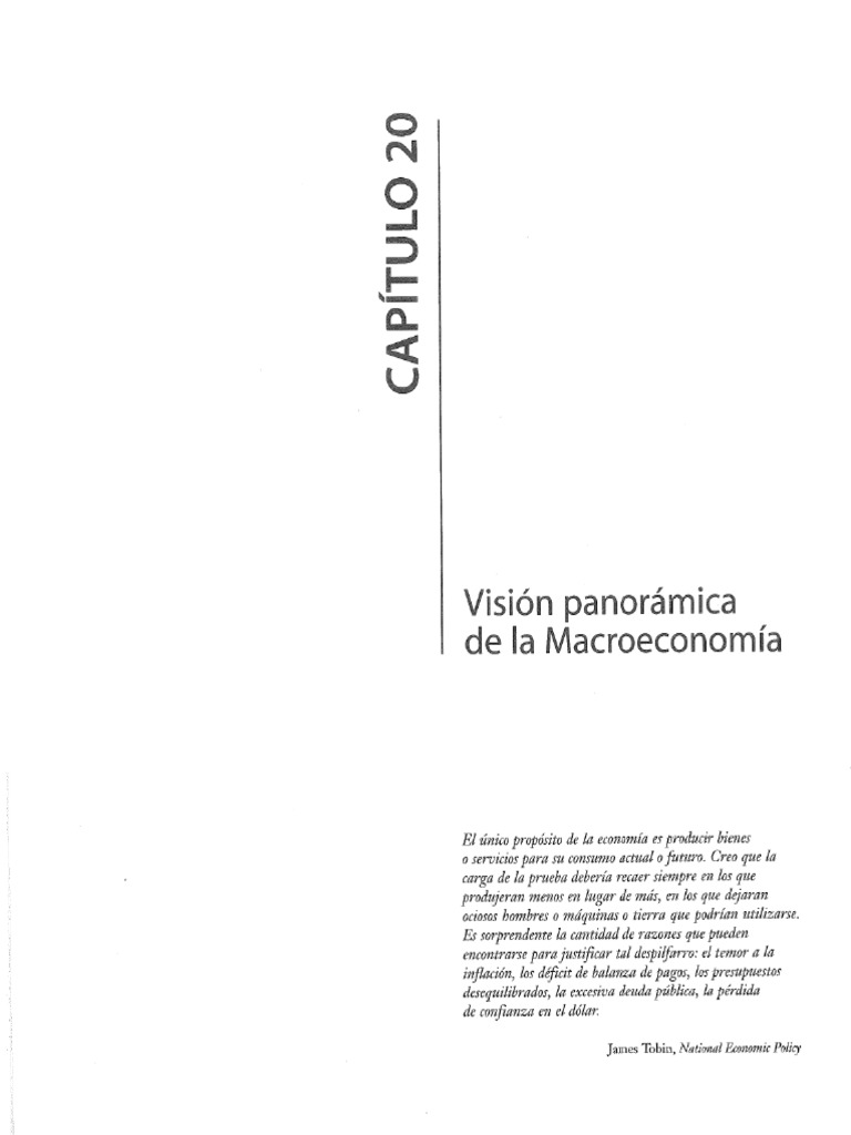 CAP 20 Y 21 | PDF | Inflación | Macroeconómica