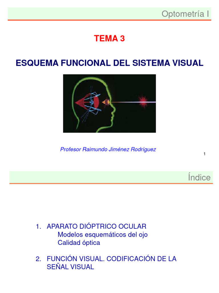 Tema 3. ESQUEMA FUNCIONAL DEL SISTEMA VISUAL | PDF | Percepción visual | Óptica
