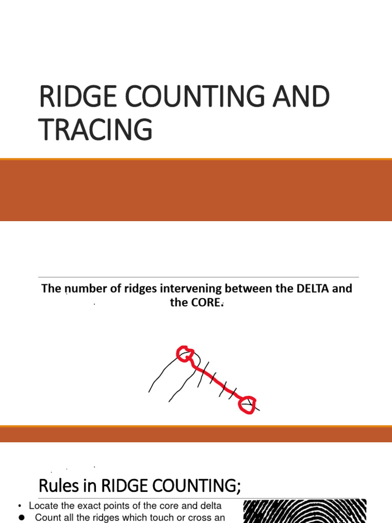Ridge Counting and Tracing | PDF | River Delta