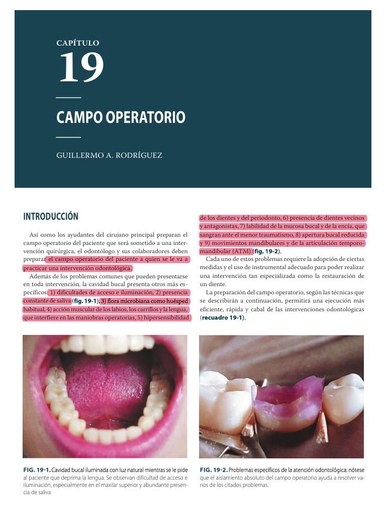 Campo Operatorio: Introducción | PDF | Odontología | Boca