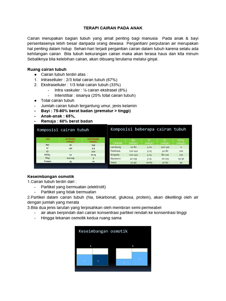 Terapi Cairan | PDF