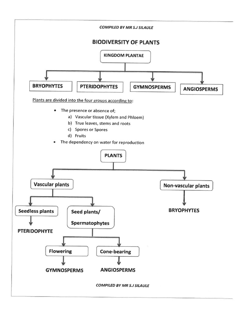 Biodiversity of Plants Notes-2 | PDF