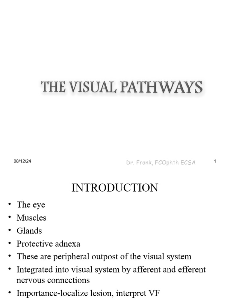 The Visual Pathways | PDF | Visual System | Cerebral Cortex