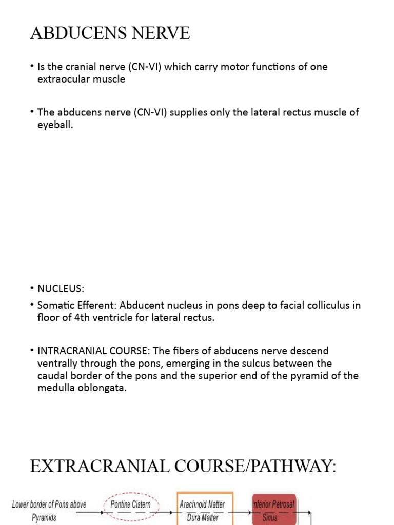 Abducens Nerve | PDF | Science & Mathematics