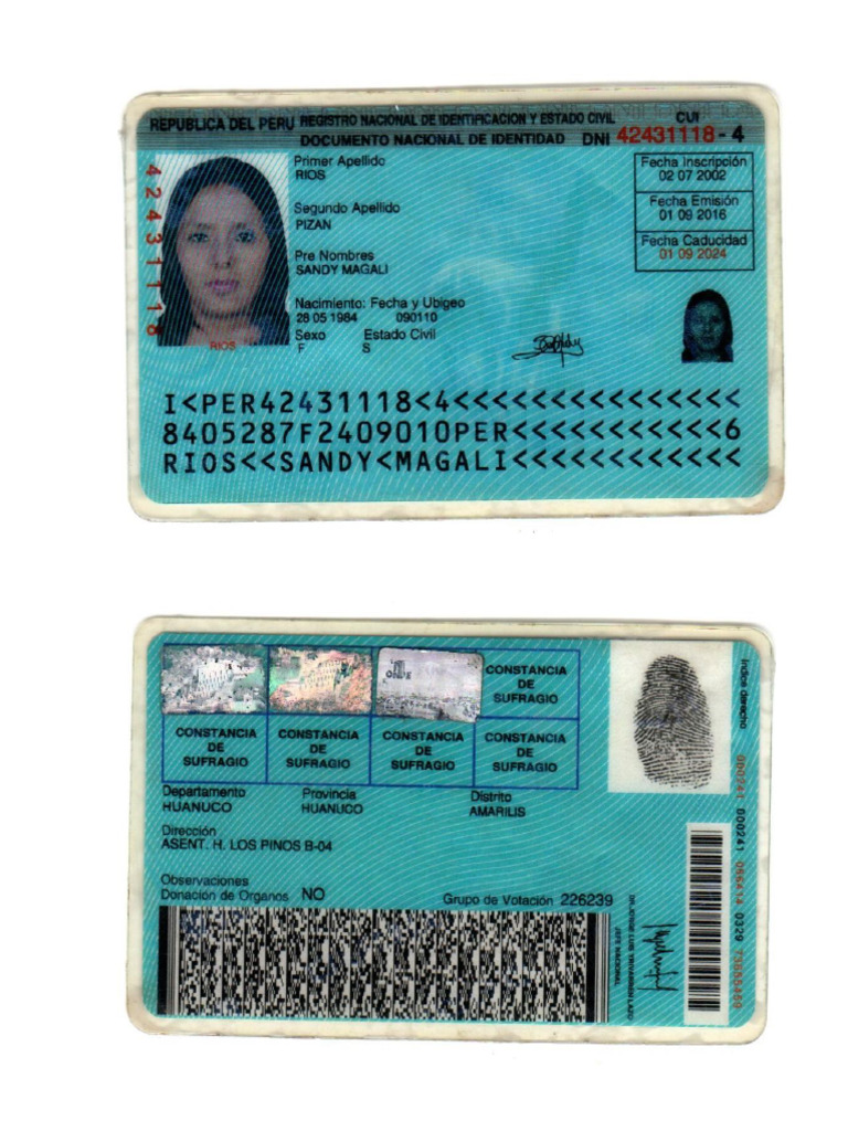 SANDY PIZAN Diplo | PDF