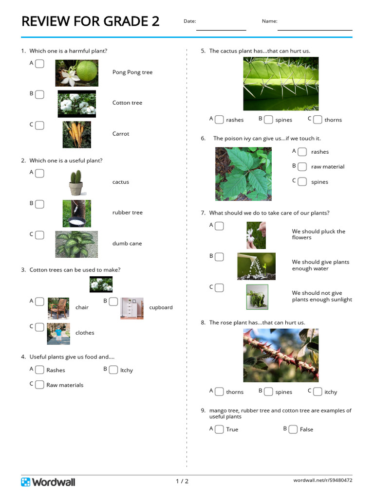 Daily Quiz (Unit 1-3) For Grade 2 | PDF