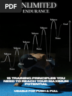 Full Planche V2 Valentin OTZ | PDF | Arm | Strength Training