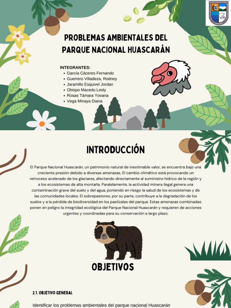 G1 Tif Anp PNH | PDF