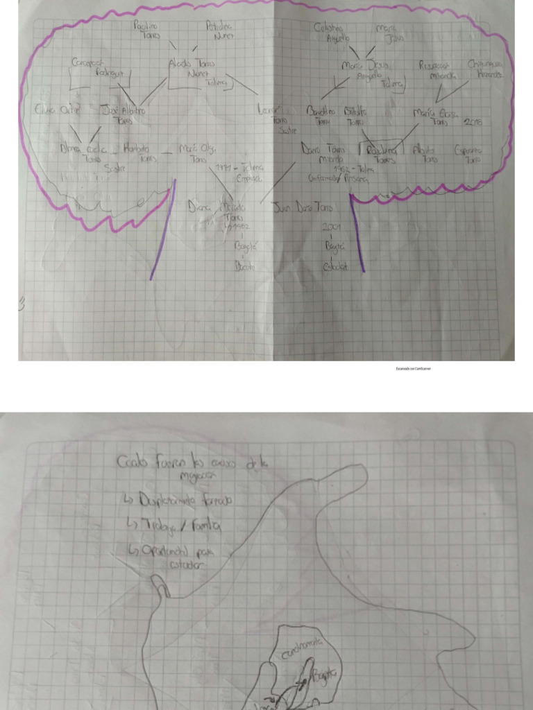 Actividades de Clase | PDF