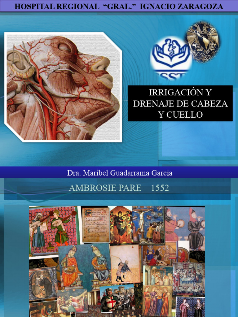 Anatomía Vascular de Cabeza y Cuello | PDF | Sistema linfático | Vena