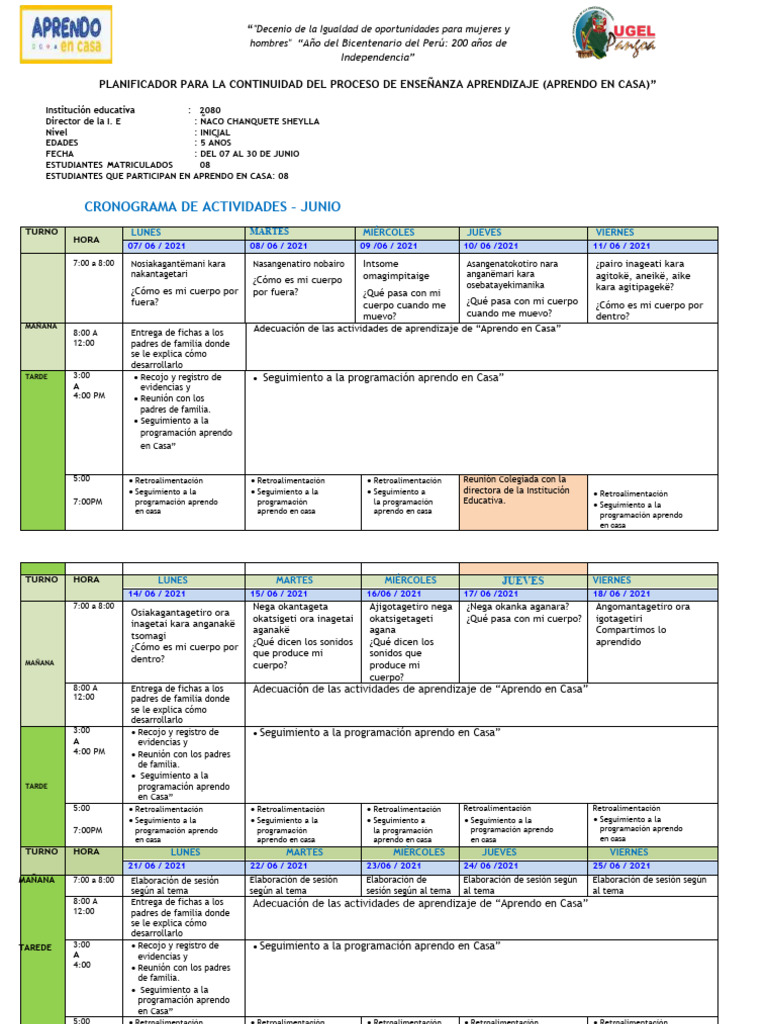 PLANIFICADOR CON HORARIO 5 AÑOS__JUNIO SHEY | PDF