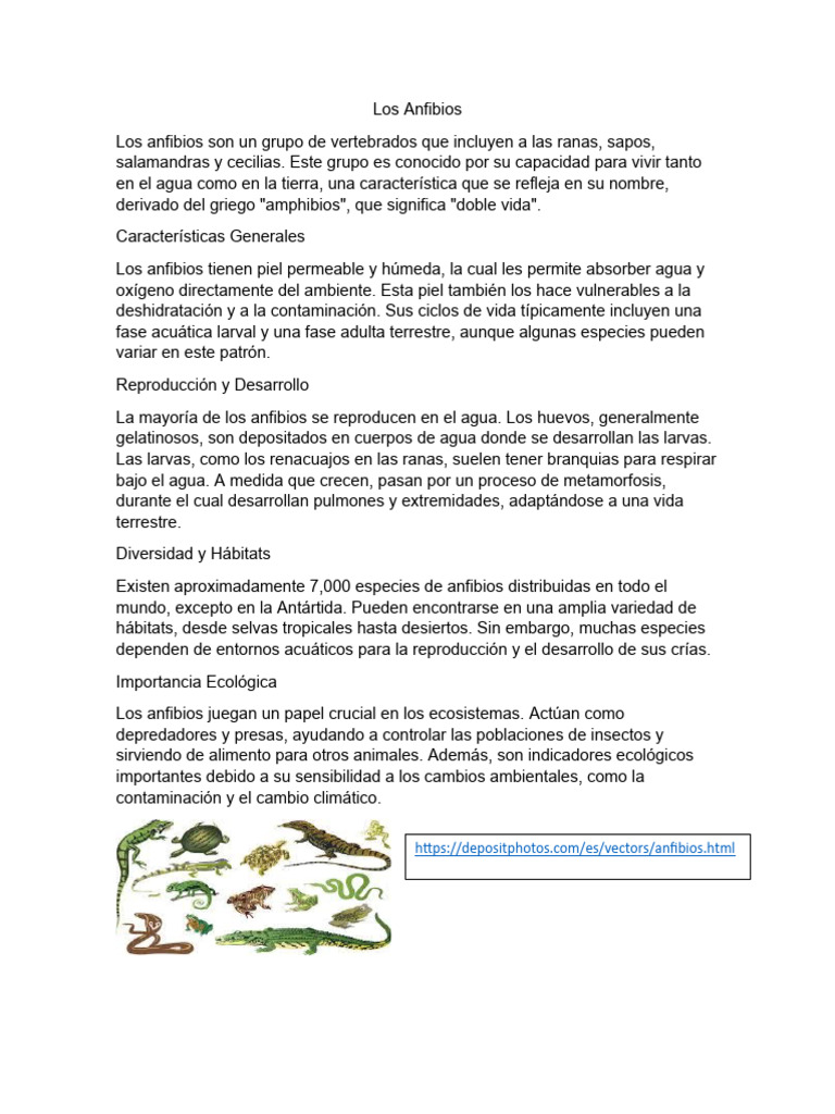 Los Anfibios | PDF | Anfibio | Ecología
