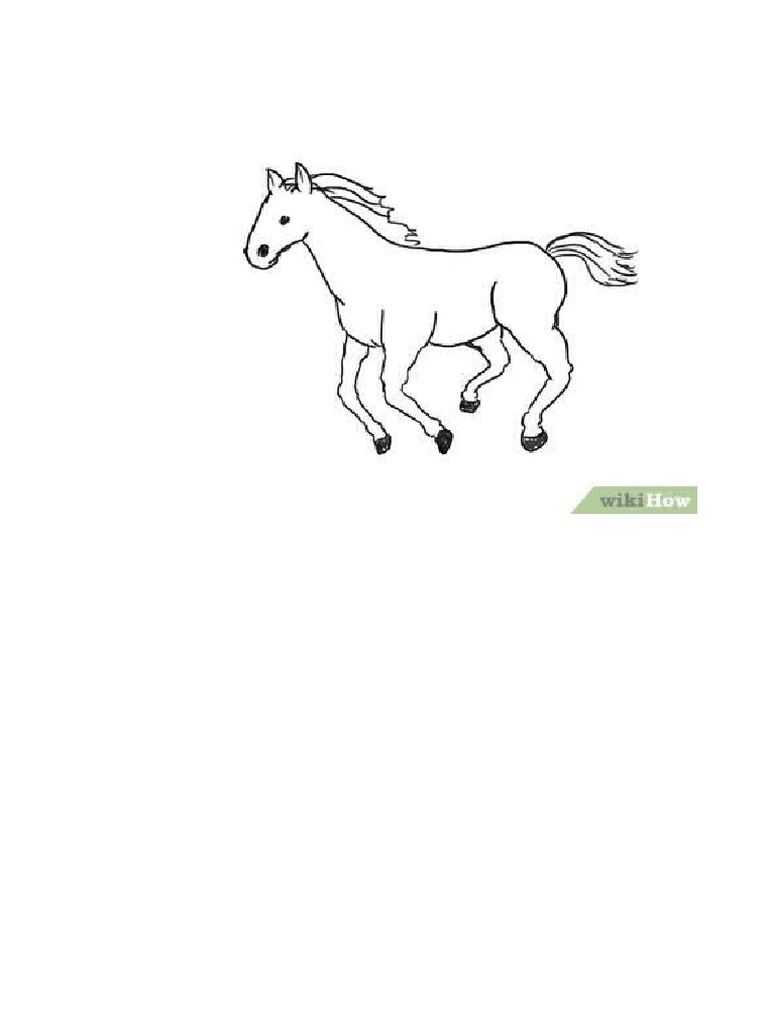Kuda 2 | PDF
