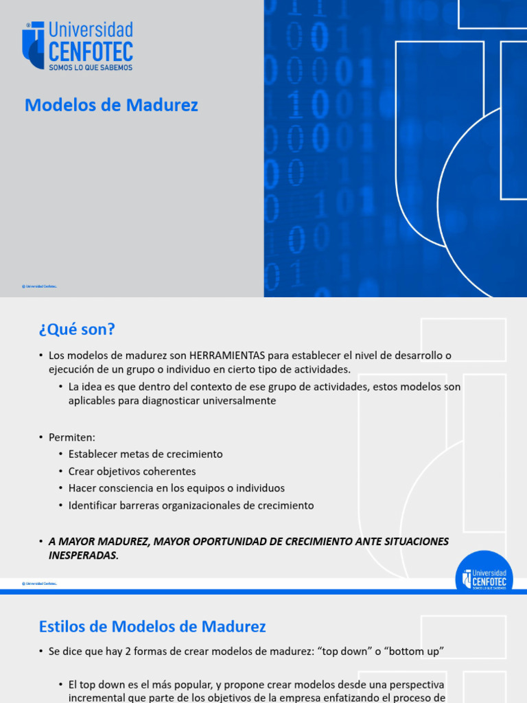 Modelos de Madurez | PDF | Informática