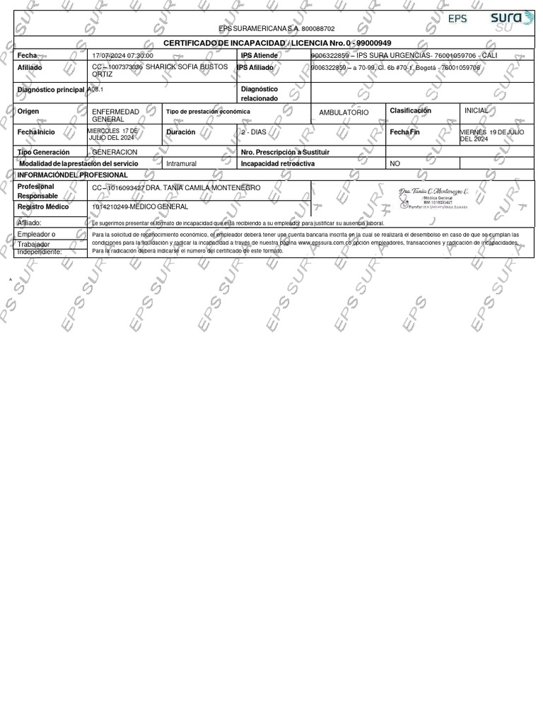 Sura-Sofia Bustos | PDF
