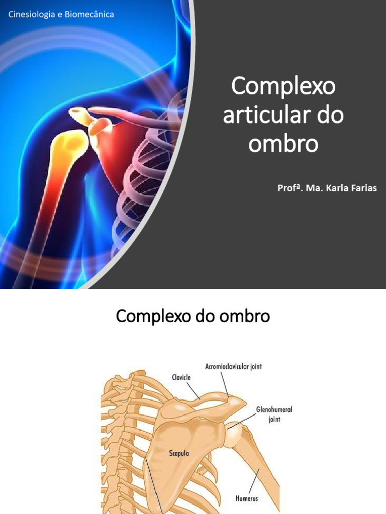 Cinesiologiaaula7-Ombro | PDF | Anatomia humana | Membros (anatomia)