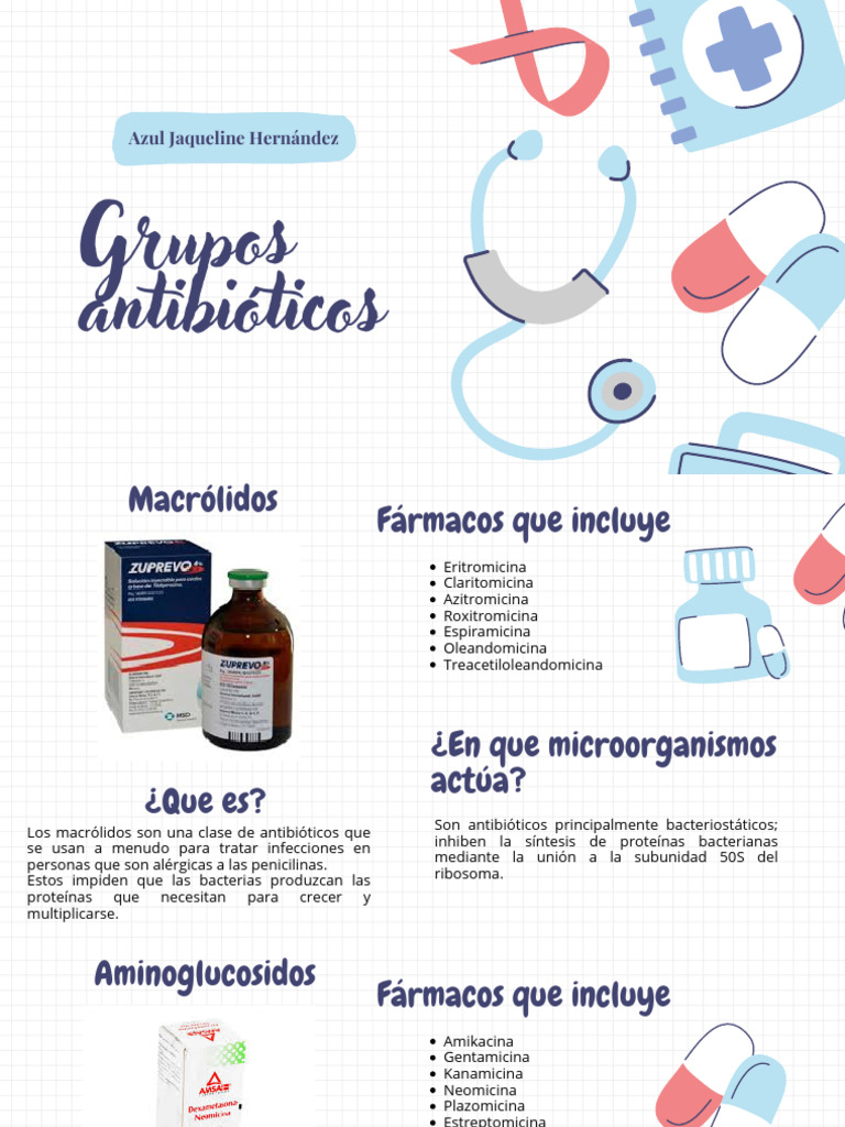 Ficha Informativa | PDF | Las bacterias | Microbiología