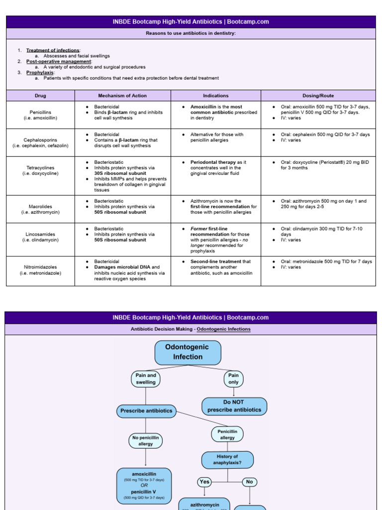 INBDE High-Yield Antibiotics | PDF | Heart | Congenital Heart Defect