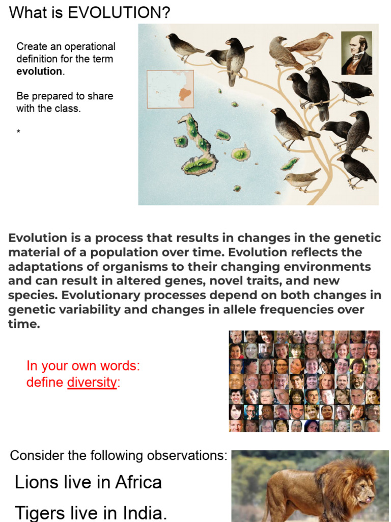 Intro To Evolution | PDF | Evolution | Galápagos Islands
