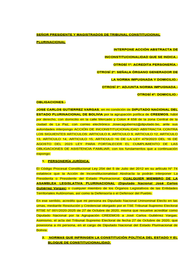Acción de Inconstitucionalidad Ley 479/2023 | PDF | Constitución ...