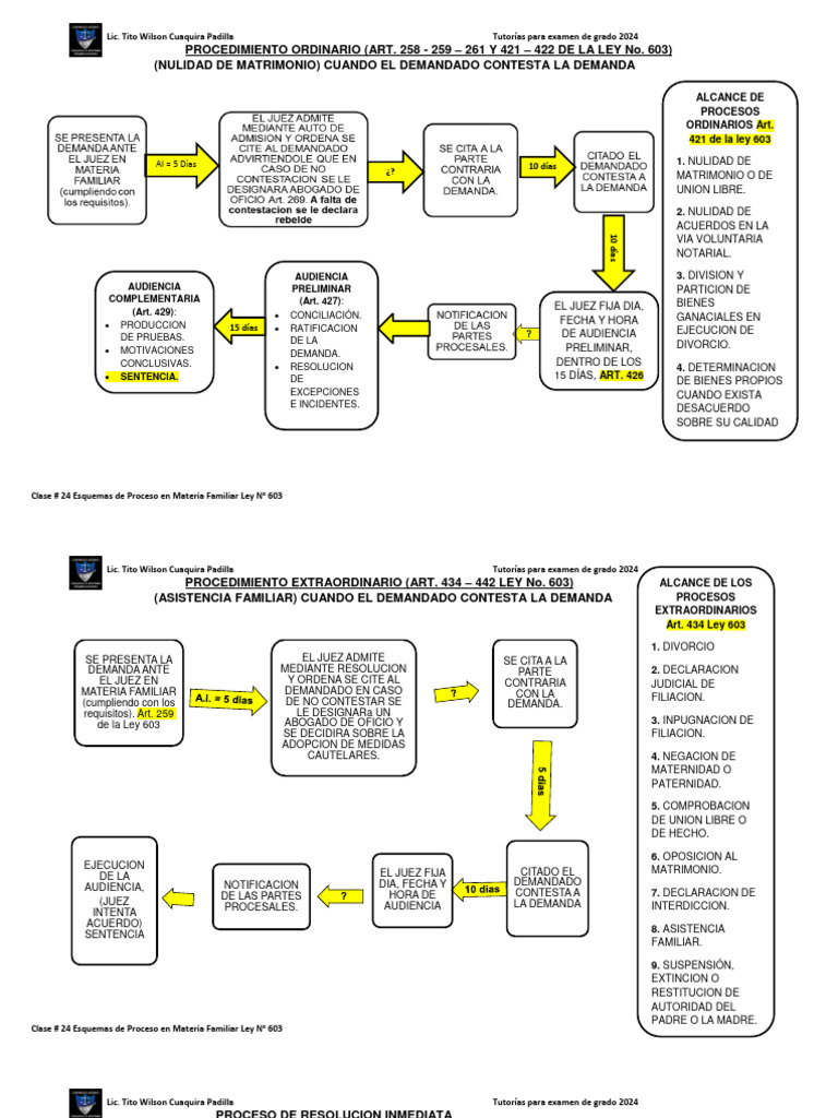 Clase #24 (Esquema de Los Procesos Familiares) 2024 | PDF | Divorcio | Ley común