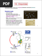 Examen Parasitologique des Selles | PDF