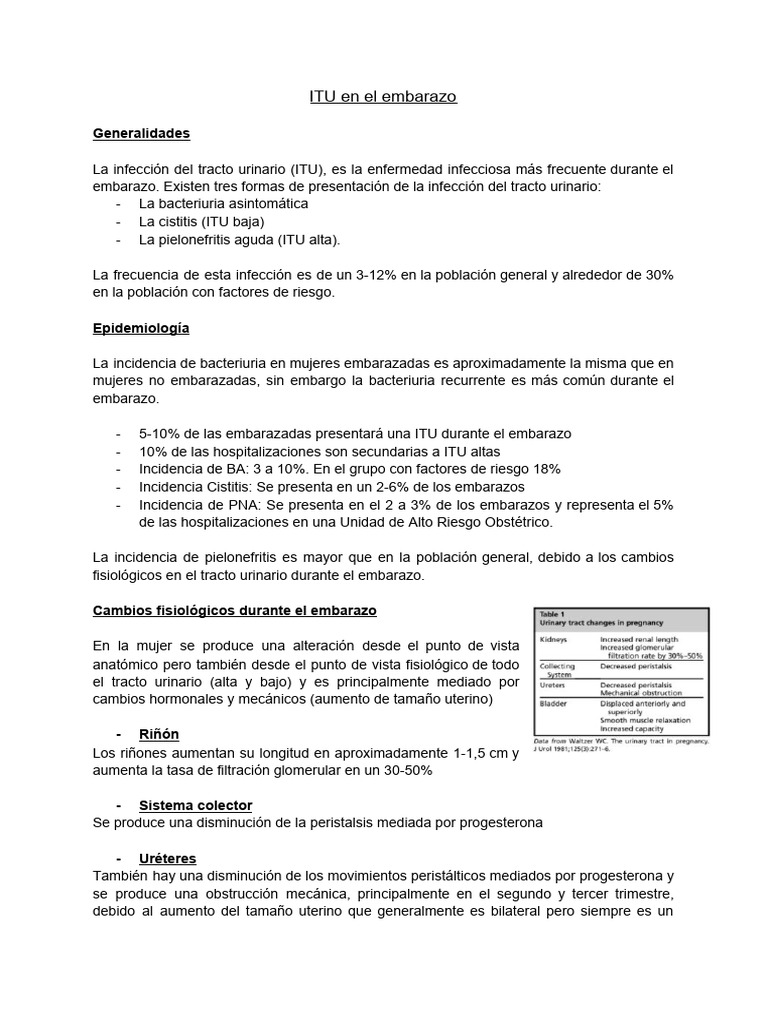 ITU en El Embarazo | PDF | Infección del tracto urinario | El embarazo ITU en El Embarazo | PDF | Infección del tracto urinario | El embarazo