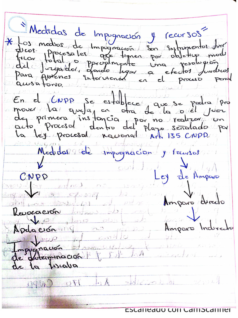 JDaniel ResumenMIR | PDF