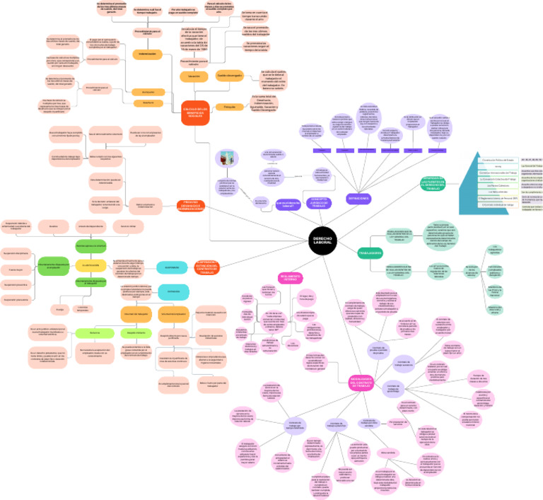 Balboa Deyna Mapa Mental Tema 6 | PDF | Derecho laboral | Salario