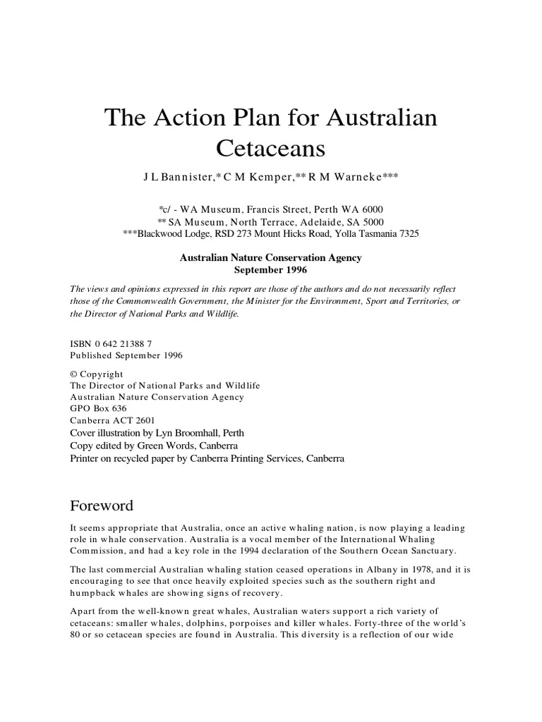 Whaleplan | PDF | Whales | Dolphin