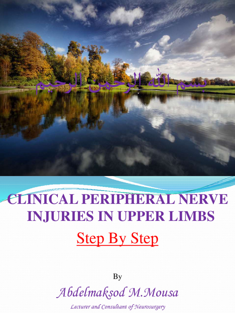 Clinical Peripheral Nerves Injuries 4th Year | PDF | Arm | Hand