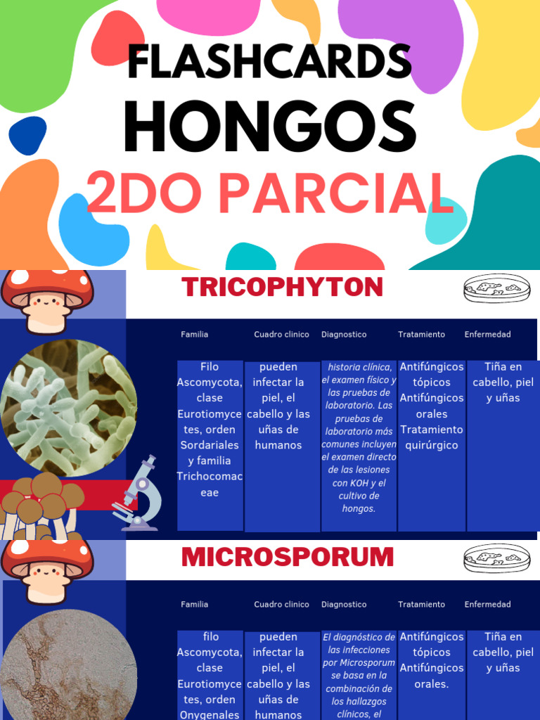 Flashcards Hongos | PDF | Microbiología | Especialidades Medicas