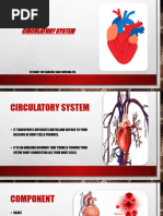 The 3 Types of Circulation | PDF