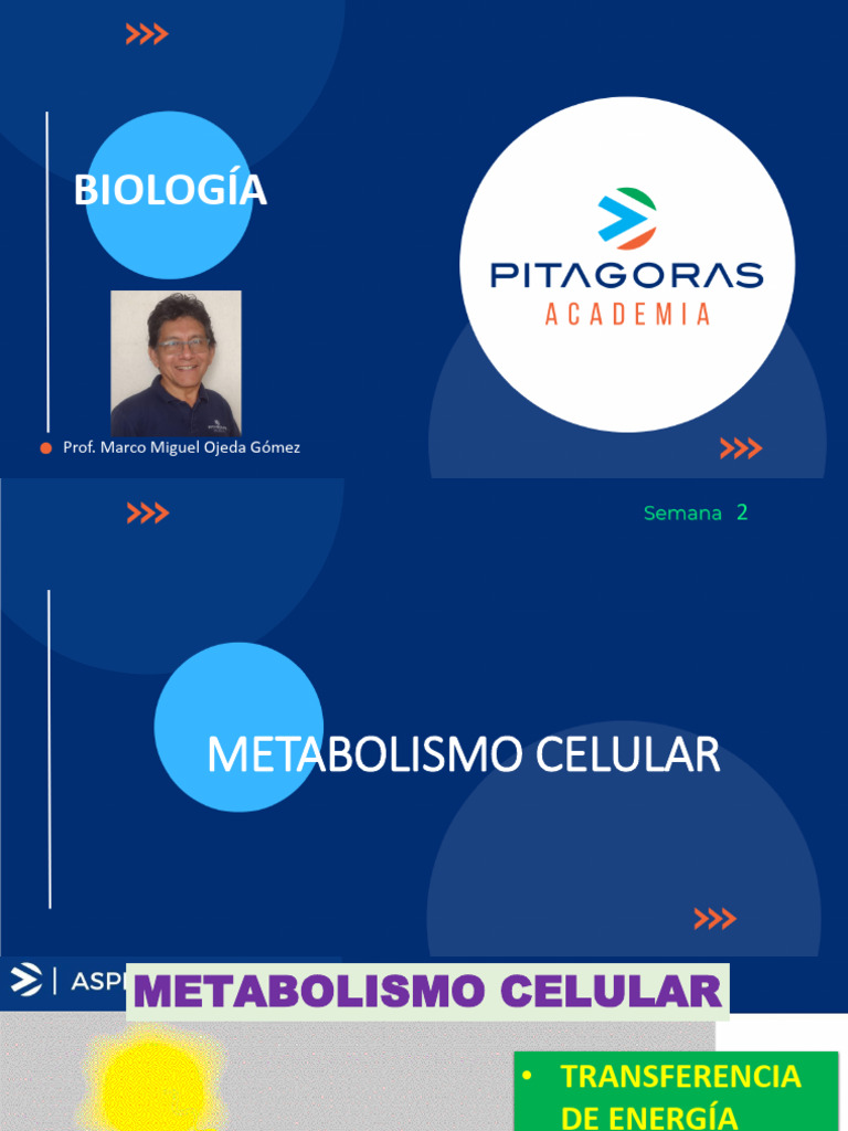 Biología Celular | PDF | Respiración celular | Fotosíntesis