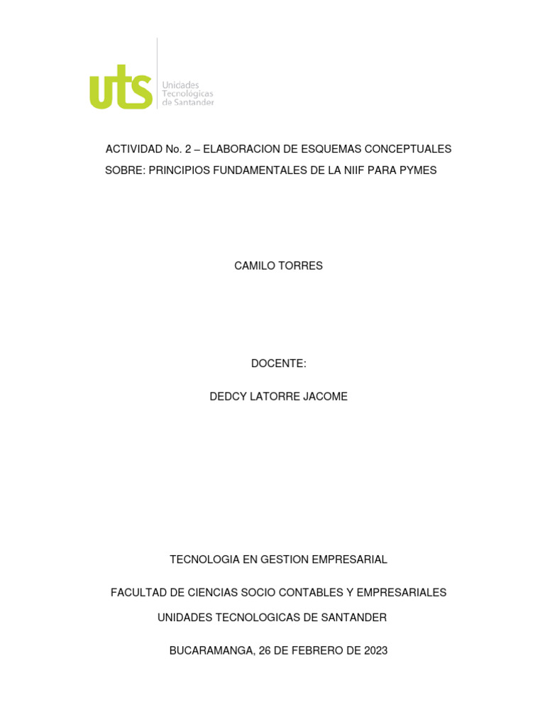 ACTIVIDAD No.2 - Elaboracion esquemas conceptuales | PDF | normas internacionales de INFORMACION ...