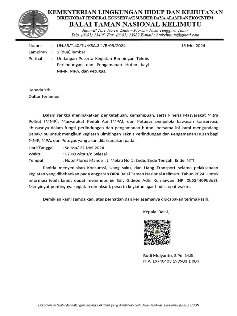 Undangan Peserta Bimtek TTE | PDF