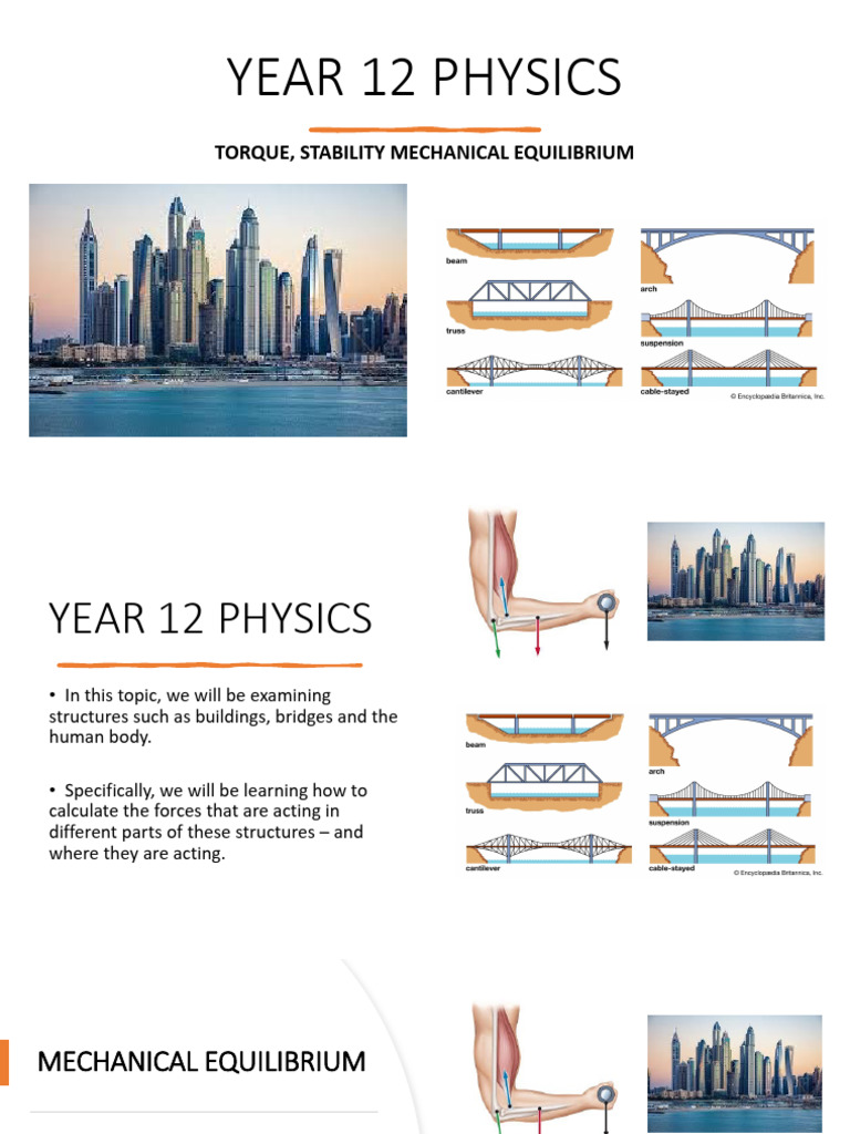 Year 12 Physics: Torque & Equilibrium | PDF | Torque | Lever