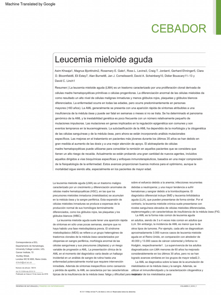 Lma Primer | PDF | Leucemia | Cáncer