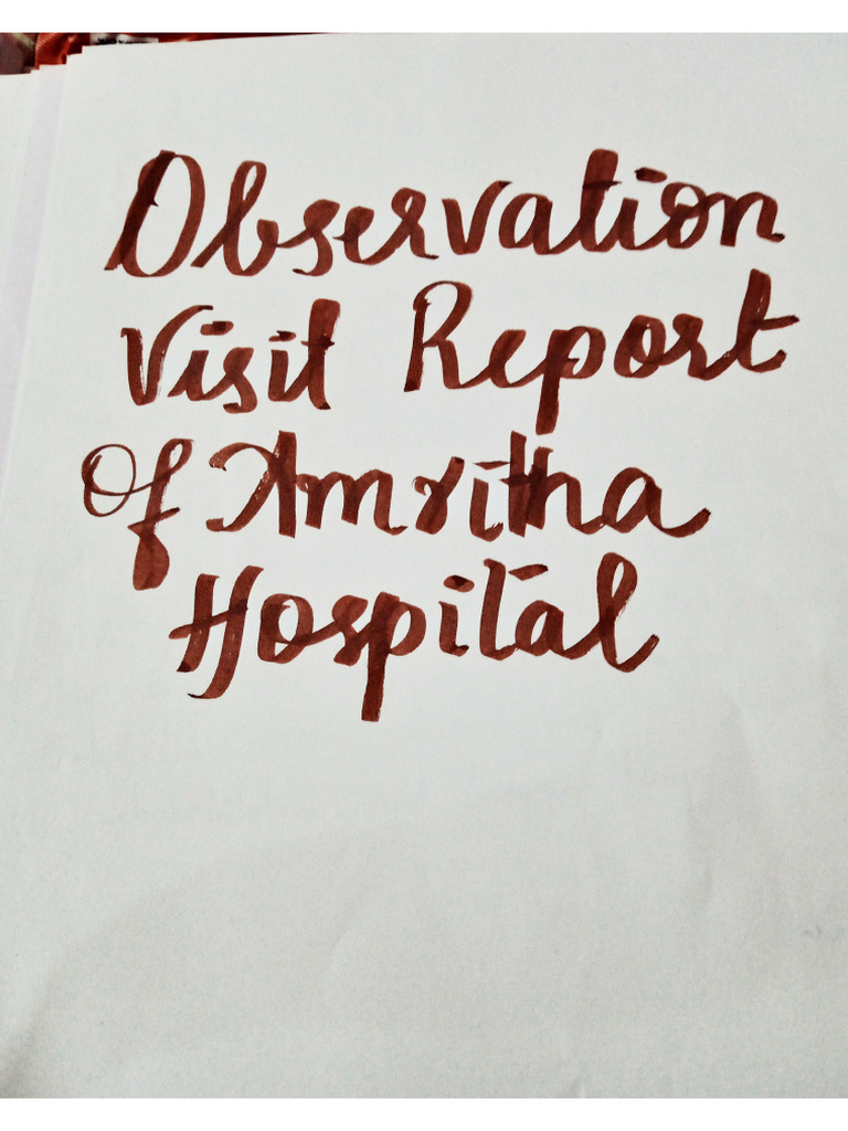 Visit Report | PDF
