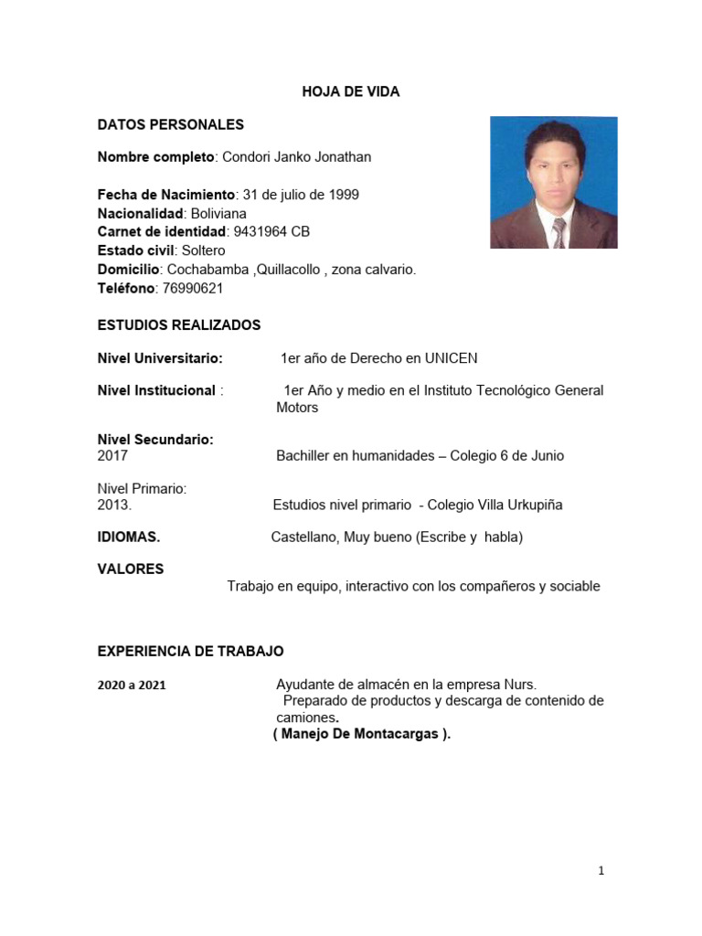 Modelo Hoja de Vida | PDF