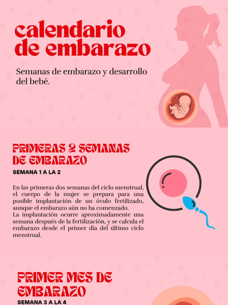 Desarrollo del bebé en cada mes de embarazo | PDF | El embarazo | Feto