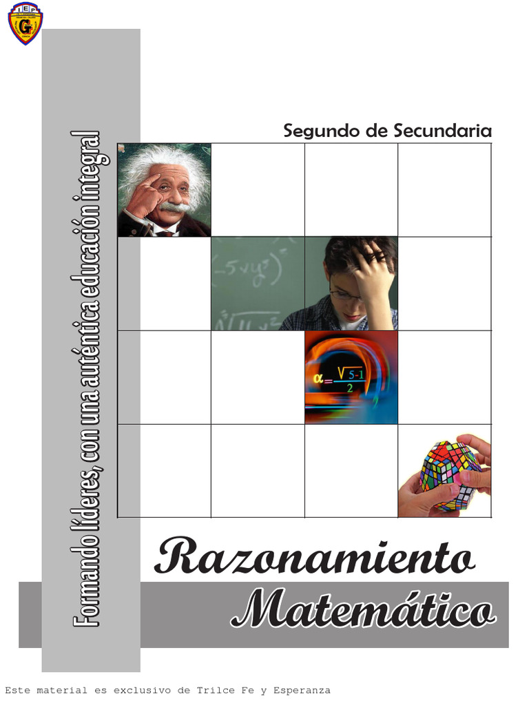 Raz. Mat 2do Bim | PDF | Matemáticas | Integral