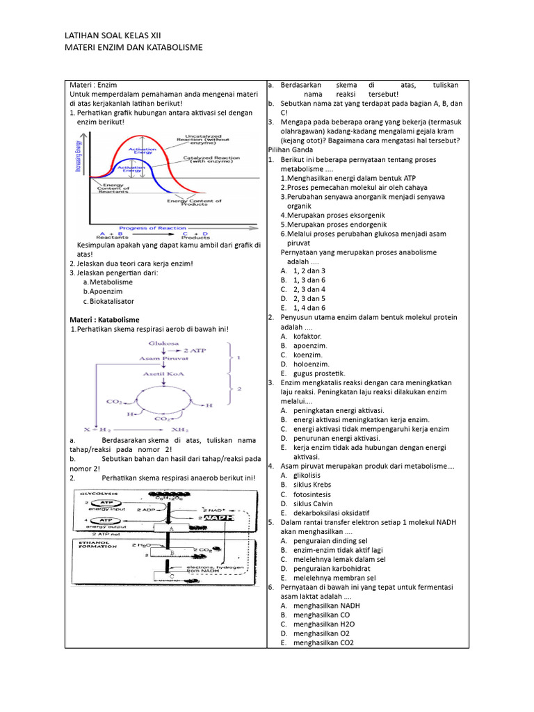 Latihan Soal Metabolisme ESC | PDF